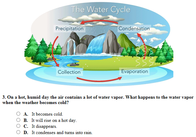 Science - Beestar.org
